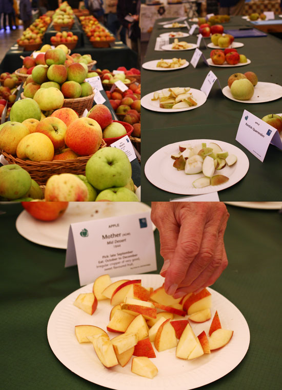 Apple Day at Rosemoor